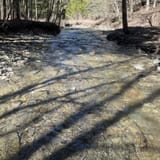 Sprague Brook Park Trail, New York - 1,347 Reviews, Map | AllTrails