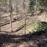 Sprague Brook Park Trail, New York - 1,249 Reviews, Map | AllTrails