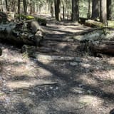 Sprague Brook Park Trail, New York - 1,347 Reviews, Map | AllTrails