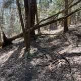 Sprague Brook Park Trail, New York - 1,347 Reviews, Map | AllTrails