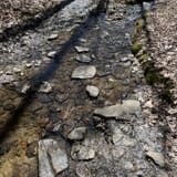 Sprague Brook Park Trail, New York - 1,347 Reviews, Map | AllTrails