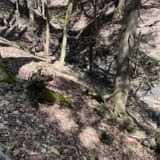 Sprague Brook Park Trail, New York - 1,347 Reviews, Map | AllTrails