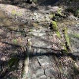 Sprague Brook Park Trail, New York - 1,347 Reviews, Map | AllTrails