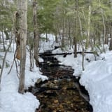 Blue Job Mountain Loop, New Hampshire - 1,950 Reviews, Map | AllTrails