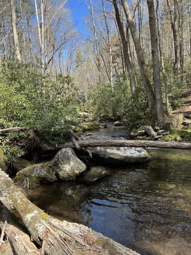 Best Forest Trails in Thurmond Chatham Gameland | AllTrails