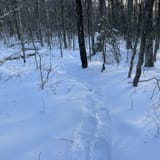 Maple Hill via Long Trail, Vermont - 189 Reviews, Map | AllTrails