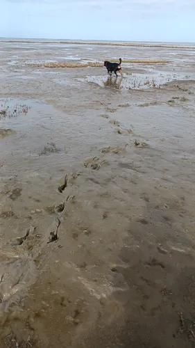 Best Walking Trails in Wadden Sea National Park | AllTrails