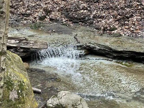 Best Views Trails in Chestnut Ridge Park | AllTrails