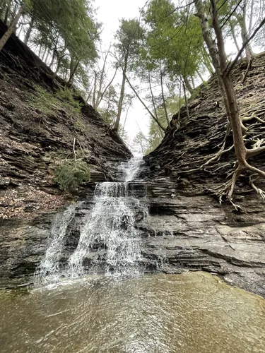 Best Views Trails in Chestnut Ridge Park | AllTrails