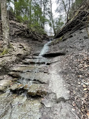 Best Views Trails in Chestnut Ridge Park | AllTrails