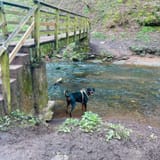 Beamish Park and Causey Arch Circular, County Durham, England - 450 ...