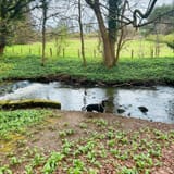 Beamish Park and Causey Arch Circular, County Durham, England - 450 ...