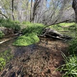 Parsons Trail, Arizona - 644 Reviews, Map | AllTrails