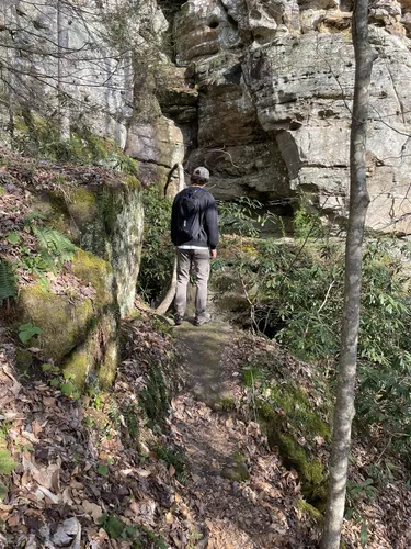 Best Hikes and Trails in Muir Valley Nature Preserve | AllTrails