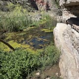 Parsons Trail, Arizona - 745 Reviews, Map | AllTrails