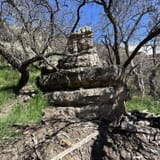 Parsons Trail, Arizona - 745 Reviews, Map | AllTrails