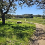 Santa Ysabel Nature Center Loop Trail, California - 605 Reviews, Map ...