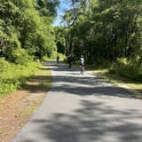 Cross Florida Greenway Trail: Santos to CR 200, Florida - 746 Reviews ...