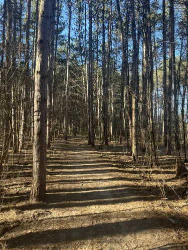 Best Hikes and Trails in Provin Trails Park | AllTrails