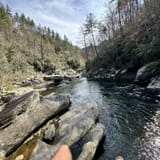 Spence Ridge Trail, North Carolina - 321 Reviews, Map | AllTrails