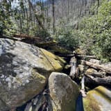 Spence Ridge Trail, North Carolina - 321 Reviews, Map | AllTrails