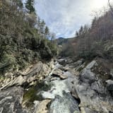 Spence Ridge Trail, North Carolina - 321 Reviews, Map | AllTrails
