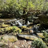 Spence Ridge Trail, North Carolina - 290 Reviews, Map | AllTrails