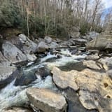 Spence Ridge Trail, North Carolina - 321 Reviews, Map | AllTrails