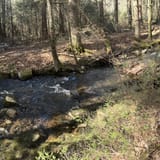 Quabbin Reservoir Gates 11-12 Loop Trail, Massachusetts - 242 Reviews ...