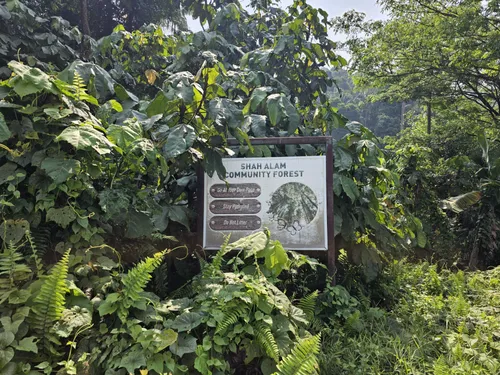 Best Short Trails in Shah Alam Community Forest | AllTrails