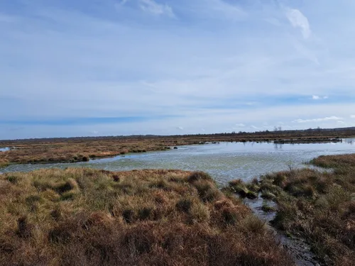 Best Walking Trails in Hatfield Moors | AllTrails