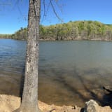 Badin Lake Trail, North Carolina - 889 Reviews, Map | AllTrails