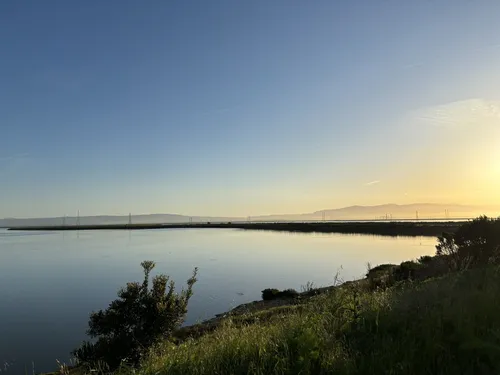 Best Hikes and Trails in Shoreline at Mountain View Park | AllTrails