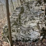 Appalachian Trail: Connecticut Section, Connecticut - 34 Reviews, Map ...