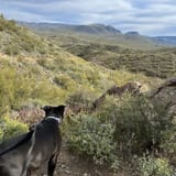 Overton Trail Loop, Arizona - 2,450 Reviews, Map | AllTrails