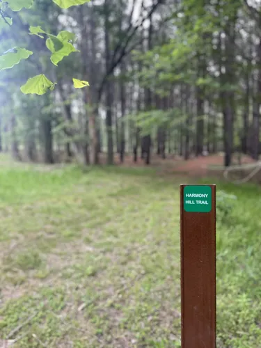 Best Forest Trails in Tatum | AllTrails