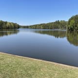 Lake Pine Loop, North Carolina - 1,291 Reviews, Map | AllTrails