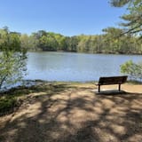 Lake Pine Loop, North Carolina - 1,291 Reviews, Map | AllTrails