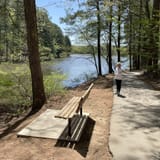 Lake Pine Loop, North Carolina - 1,291 Reviews, Map | AllTrails