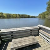 Lake Pine Loop, North Carolina - 1,291 Reviews, Map | AllTrails