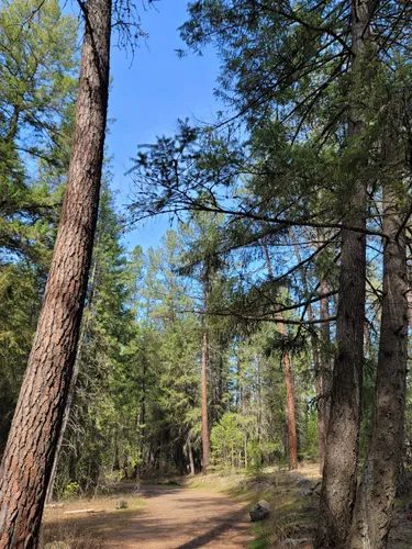 Best Horseback Riding Trails in Riverside State Park | AllTrails