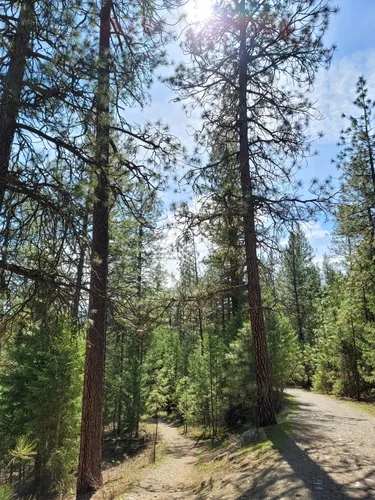 Best Horseback Riding Trails in Riverside State Park | AllTrails