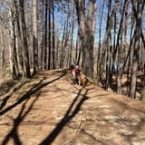 Pyramid State Park Loop Trail, Illinois - 235 Reviews, Map | AllTrails