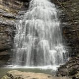 Denny Cove Waterfall Trail , Tennessee - 1,107 Reviews, Map | AllTrails