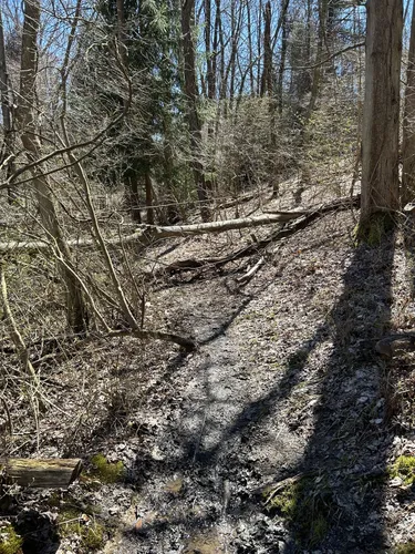 Best Hikes and Trails in Webster Park | AllTrails