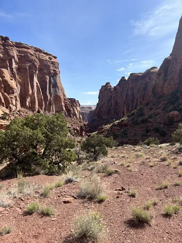 Best Bird Watching Trails in Bureau of Land Management: Moab Field ...