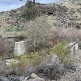 Cowiche Canyon Trail, Washington - 672 Reviews, Map | AllTrails