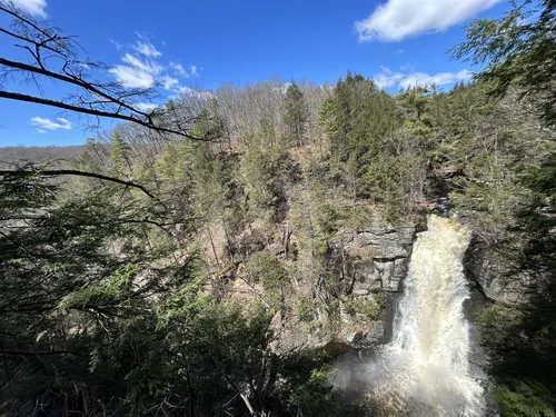 Best Hikes and Trails in Bushkill Falls | AllTrails