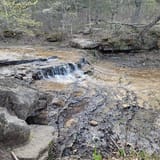 Mooner's Hollow Trail, Missouri - 1,581 Reviews, Map | AllTrails