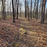 Mooner's Hollow Trail, Missouri - 1,581 Reviews, Map | AllTrails